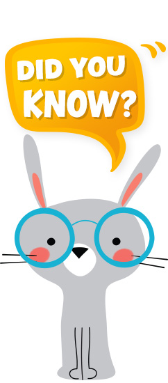 5 Easy Ways To Tell The Difference Between A Queen Ant And A Worker Ant ...