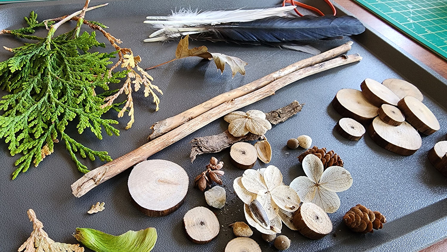 Create An Amazing DIY Nature Journal For Kids - Let's Go Avocado!