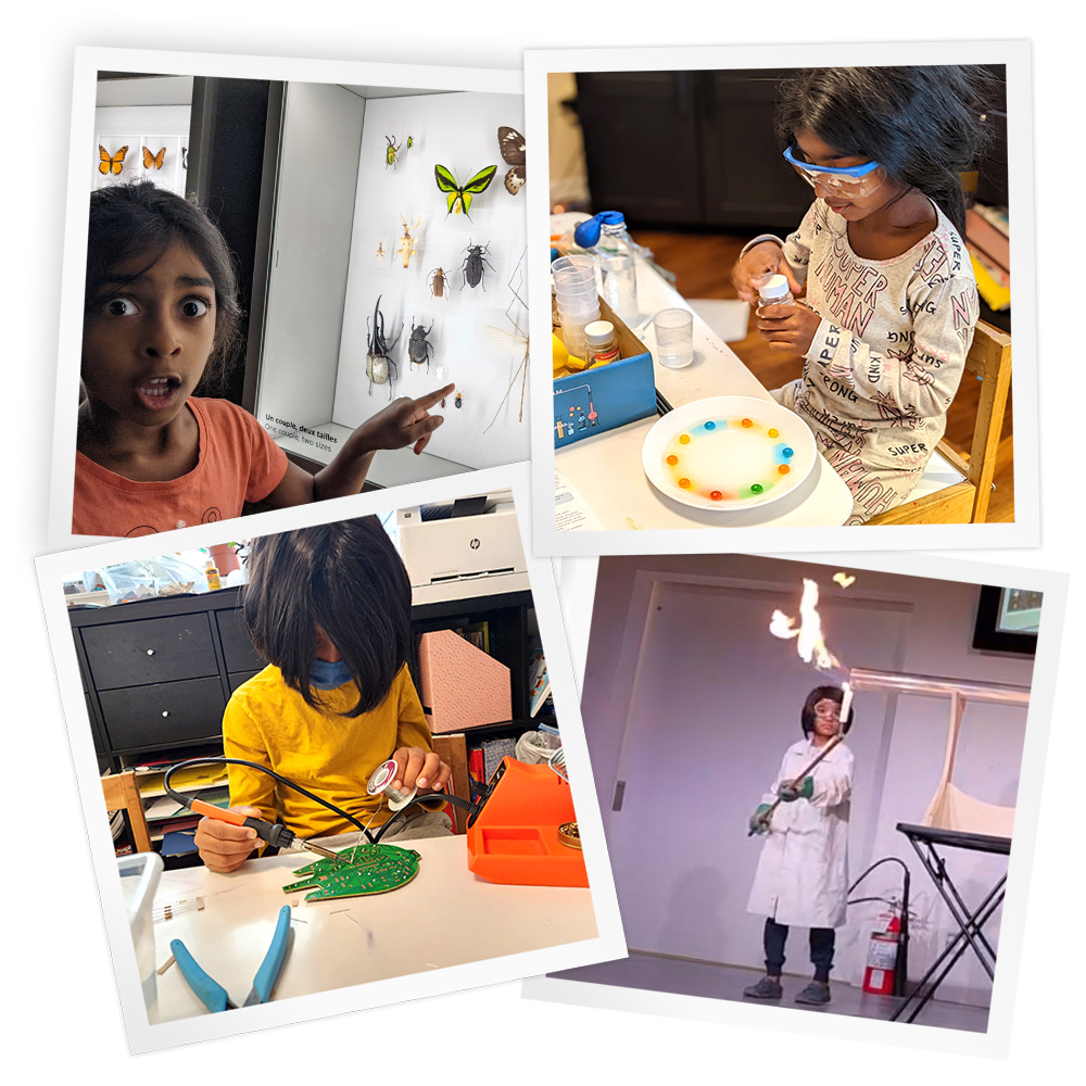 4 Slimy But Fascinating Facts About Frog And Toad Eggs - Let's Go Avocado!