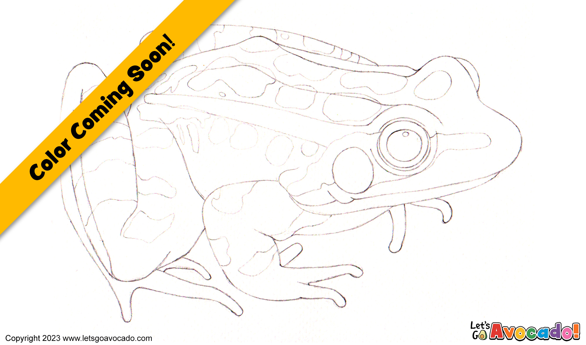 Pickerel Frog - Let's Go Avocado!