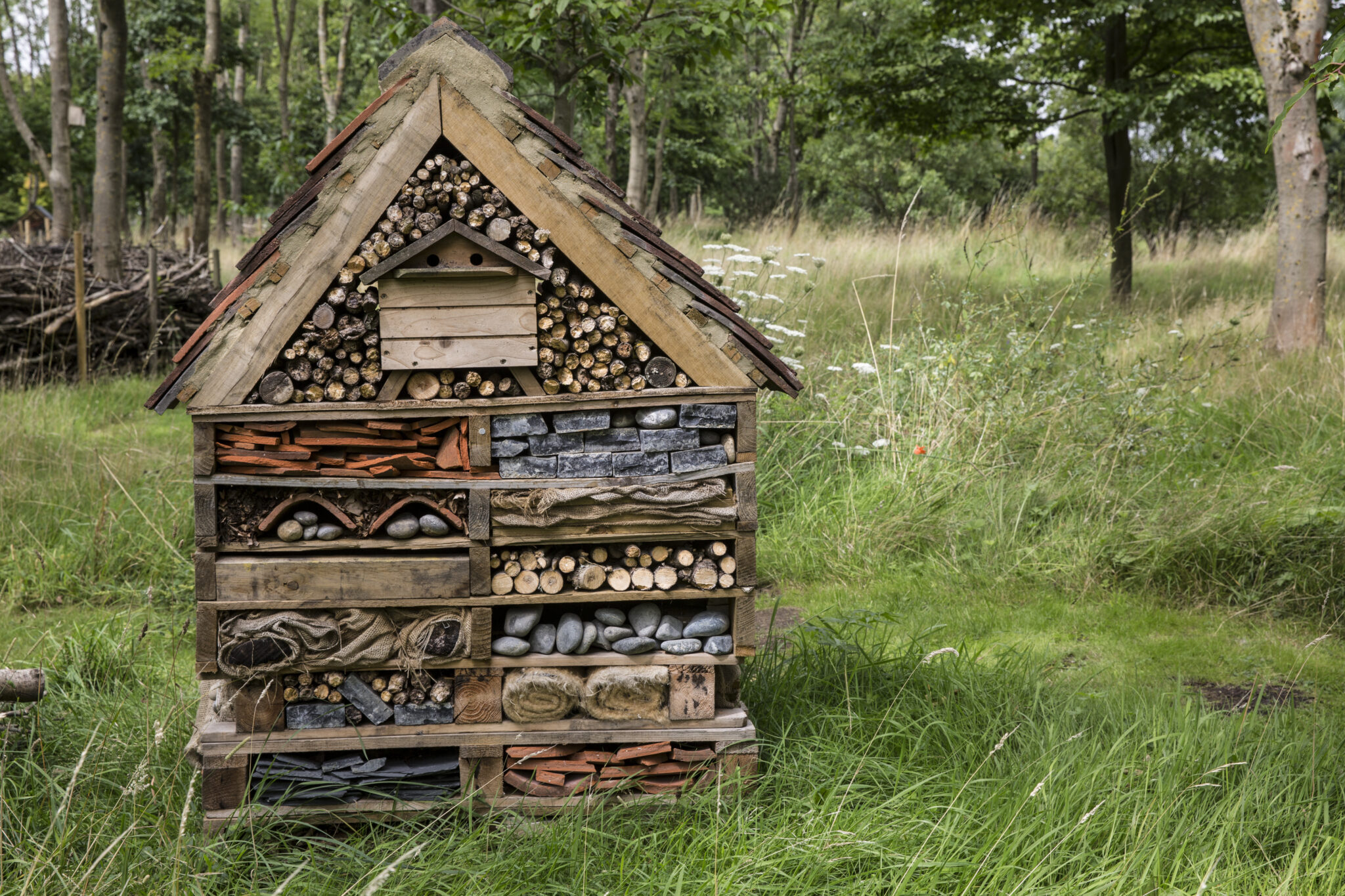DIY: How To Make A Bug Hotel - Let's Go Avocado!